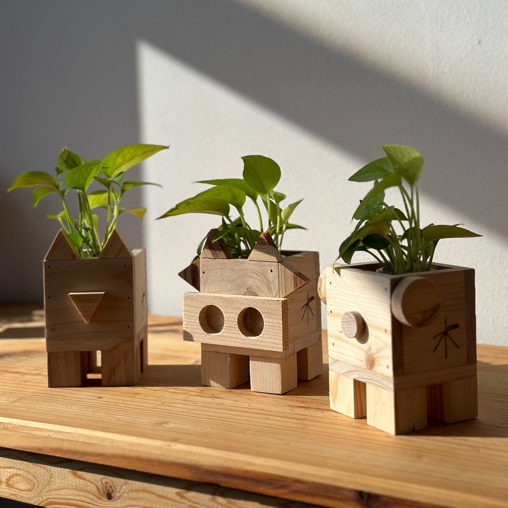 Chonkies Planters - Upcycling Workshop – CREUSE